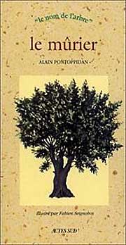 Mûres et Mûriers en Provence | Provence 7