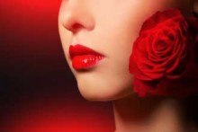 Rose à Lèvres | Provence 7