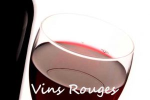 Vins Rouges de Provence | Provence 7