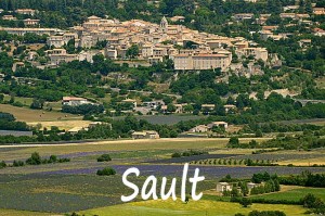 Sault à Visiter (84) | Provence 7