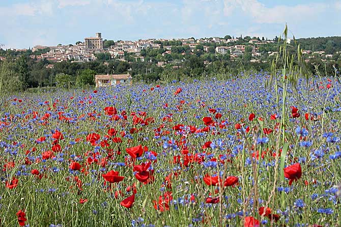 Eguilles-Village-Fotolia_11 | Provence 7