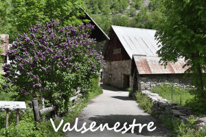 Valsenestre-1C | Provence 7