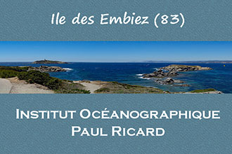 Institut-Océanographique-Paul-Ricard-1B | Provence 7