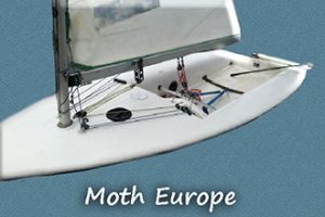 Moth-Europe-1B | Provence 7
