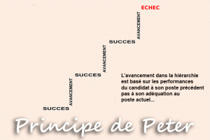 Principe-de-Peter-1C | Provence 7